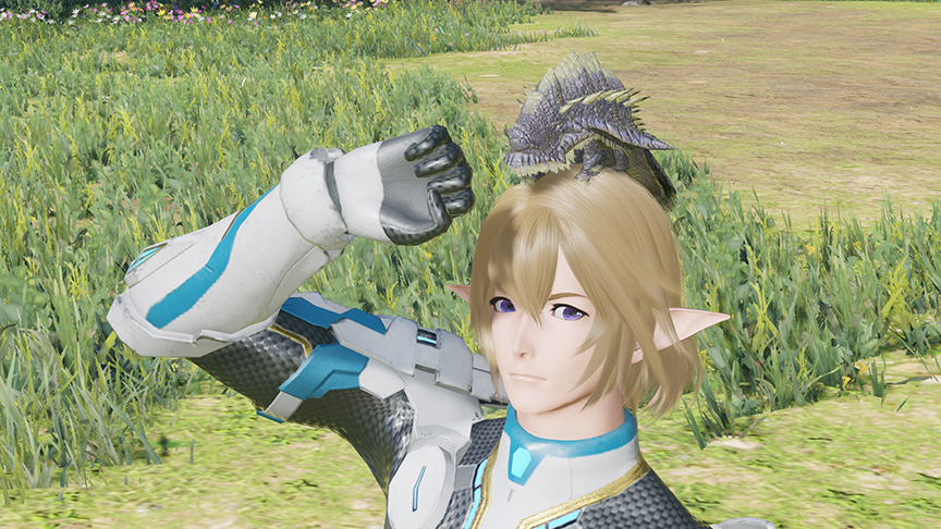 Special Edition Screenshot Submission Campaign | Phantasy Star Online 2 ...