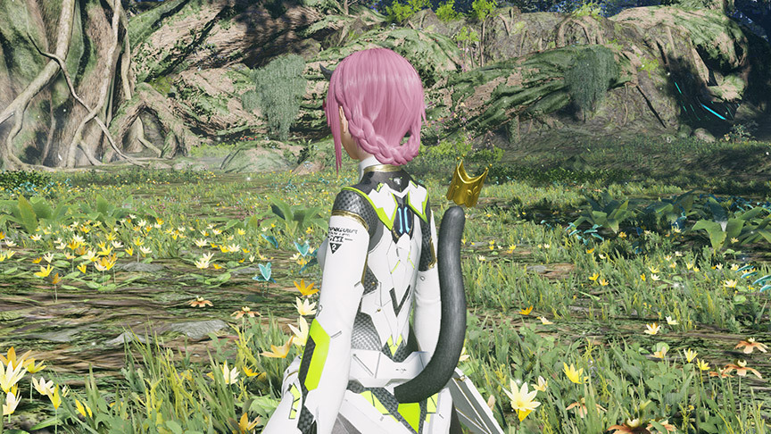 NOVEMBER UPDATE INFO | Phantasy Star Online 2 New Genesis Official Site ...