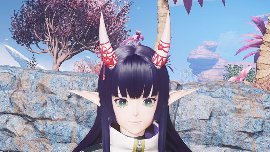 JANUARY UPDATE INFO | Phantasy Star Online 2 New Genesis Official Site ...